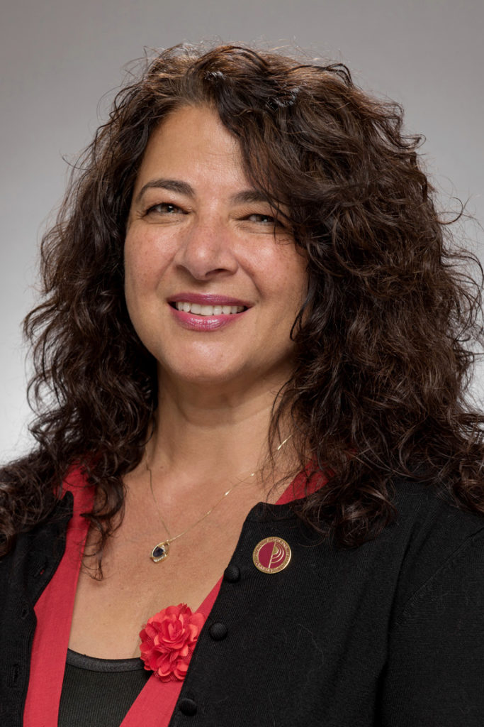 Faculty Highlights: June-July 2020 – CSUDH News