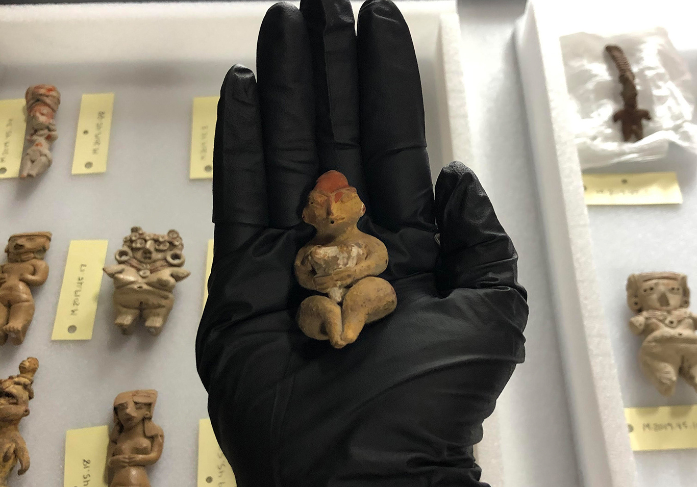 LACMA Internship Offers Anthropology Students Museum Curation and ...